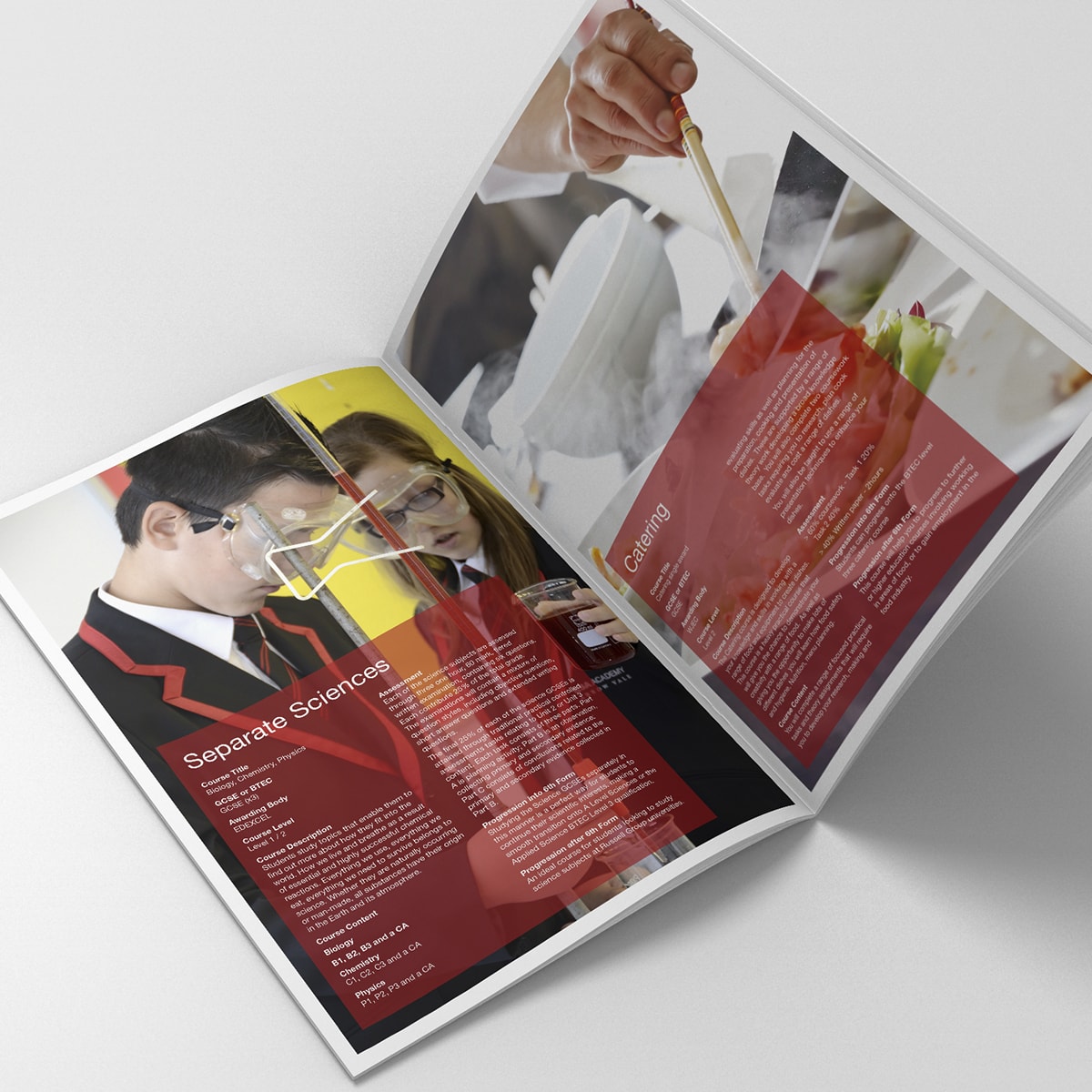 Arrow Vale Academy Curriculum Booklet - Blackberry Design